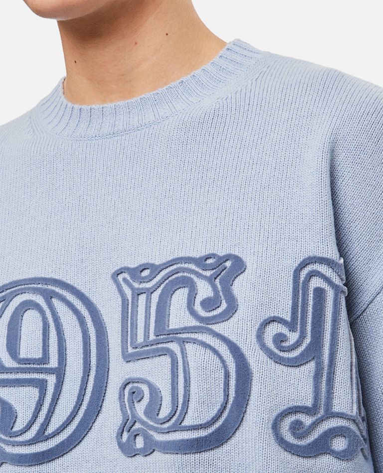 FIDO CREWNECK 1951 SWEATER for Women - Max Mara | Biffi FIDO CREWNECK 1951 SWEATER for Women - Max Mara | Biffi